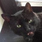 ROB // Funky Rob Way (Limited Dance Edition Nr. 2) | Analog Africa