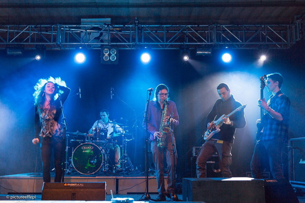 On the Spot | Elephant Tree