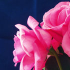 Candescent | Kiersten Holine