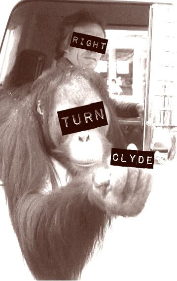 Live @ St.Georges Church | Right Turn Clyde