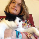 melanchole | salvia palth