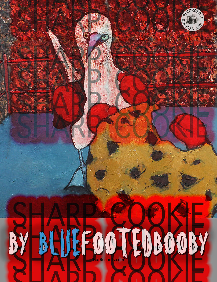Sharp Cookie | BLUEFOOTEDBOOBY