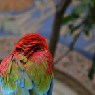 The Space In Which The Uncontrollable Unknown Resides, Can Be The Place ...