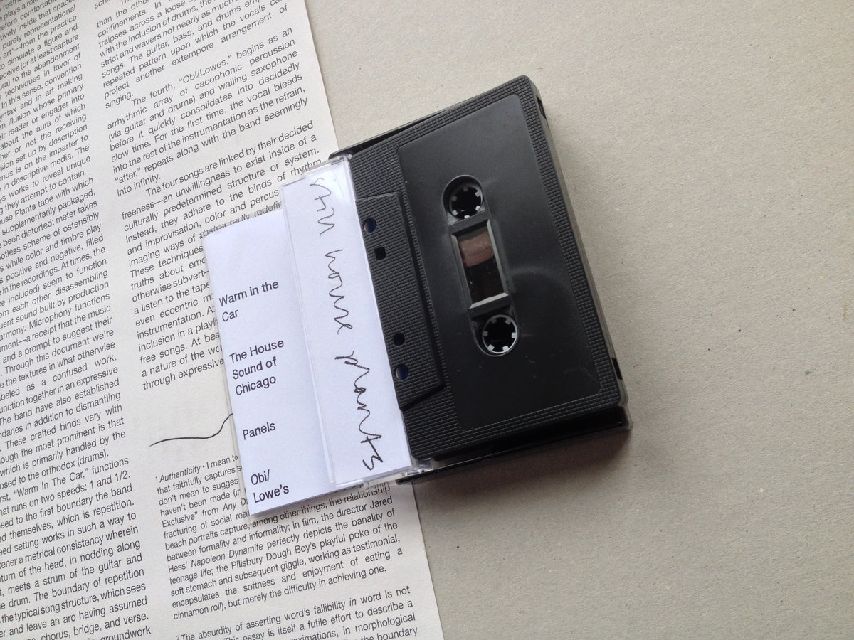 Still House Plants | Still House Plants | GLARC