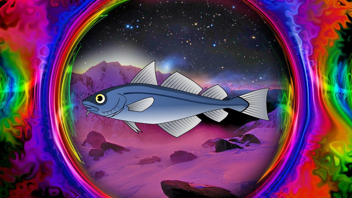 If you want me to stay/I can't feel my face | Talking Tuna