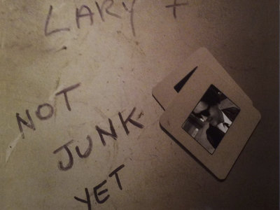 NOT JUNK YET: THE ART OF LARY 7 | hackedepicciotto
