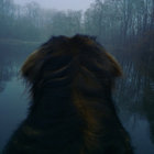 Song of Moss | Danny Wolfers | Legowelt