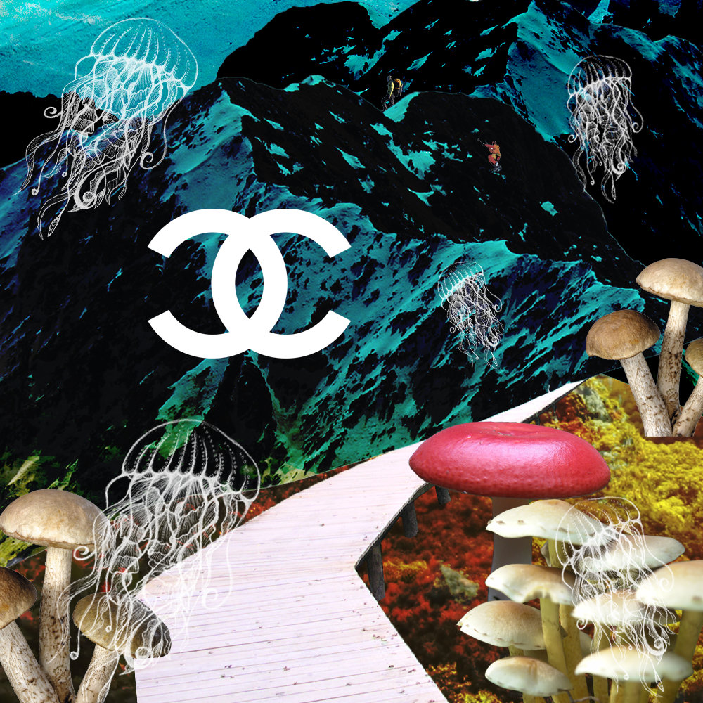 jacobferry's collection | Bandcamp