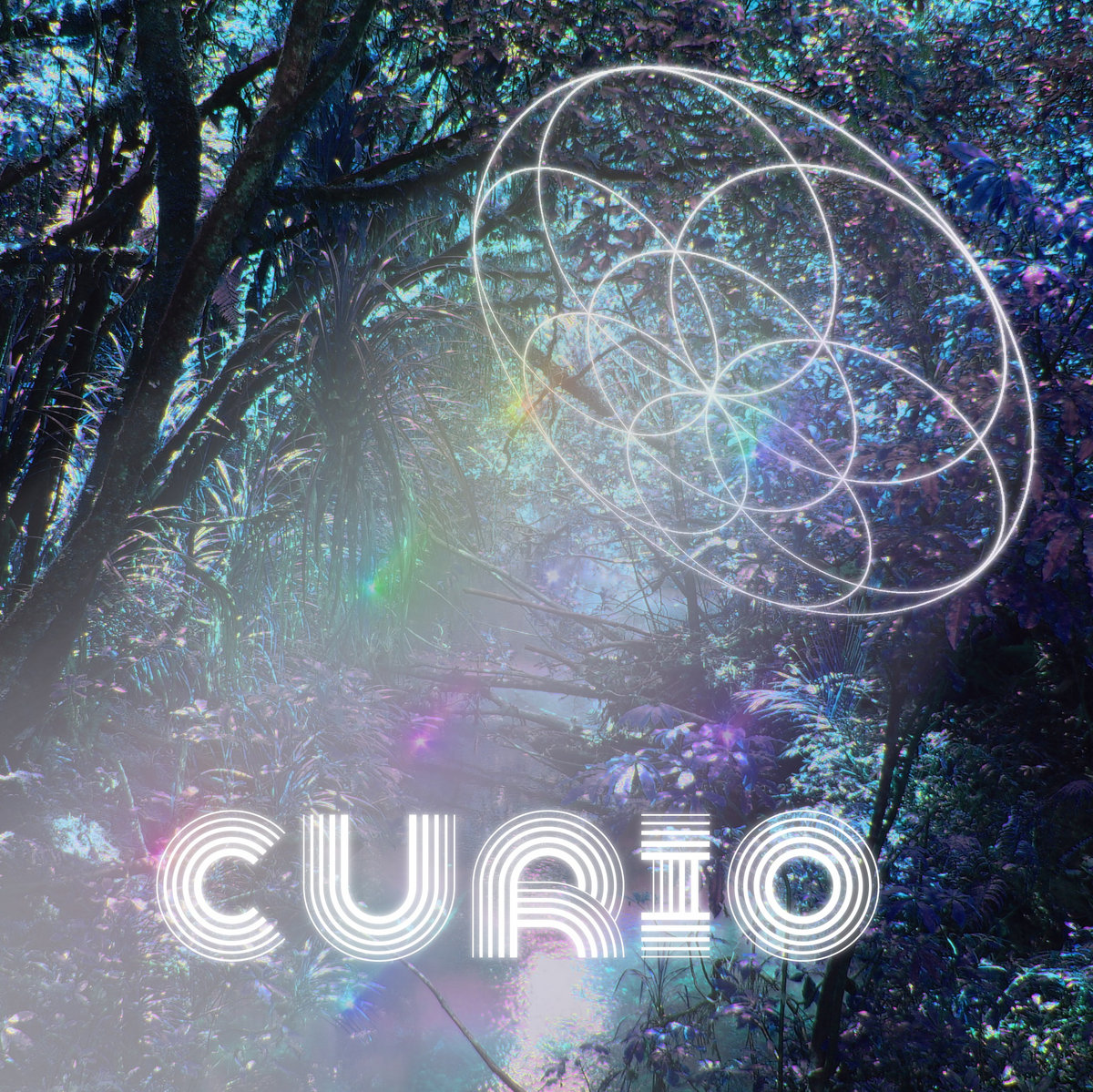 Music | CURIO