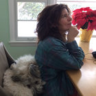 Cubop Lives! | Zaccai Curtis | TRRcollective