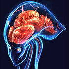 Microgravity [Reissue with bonus album] | Biosphere