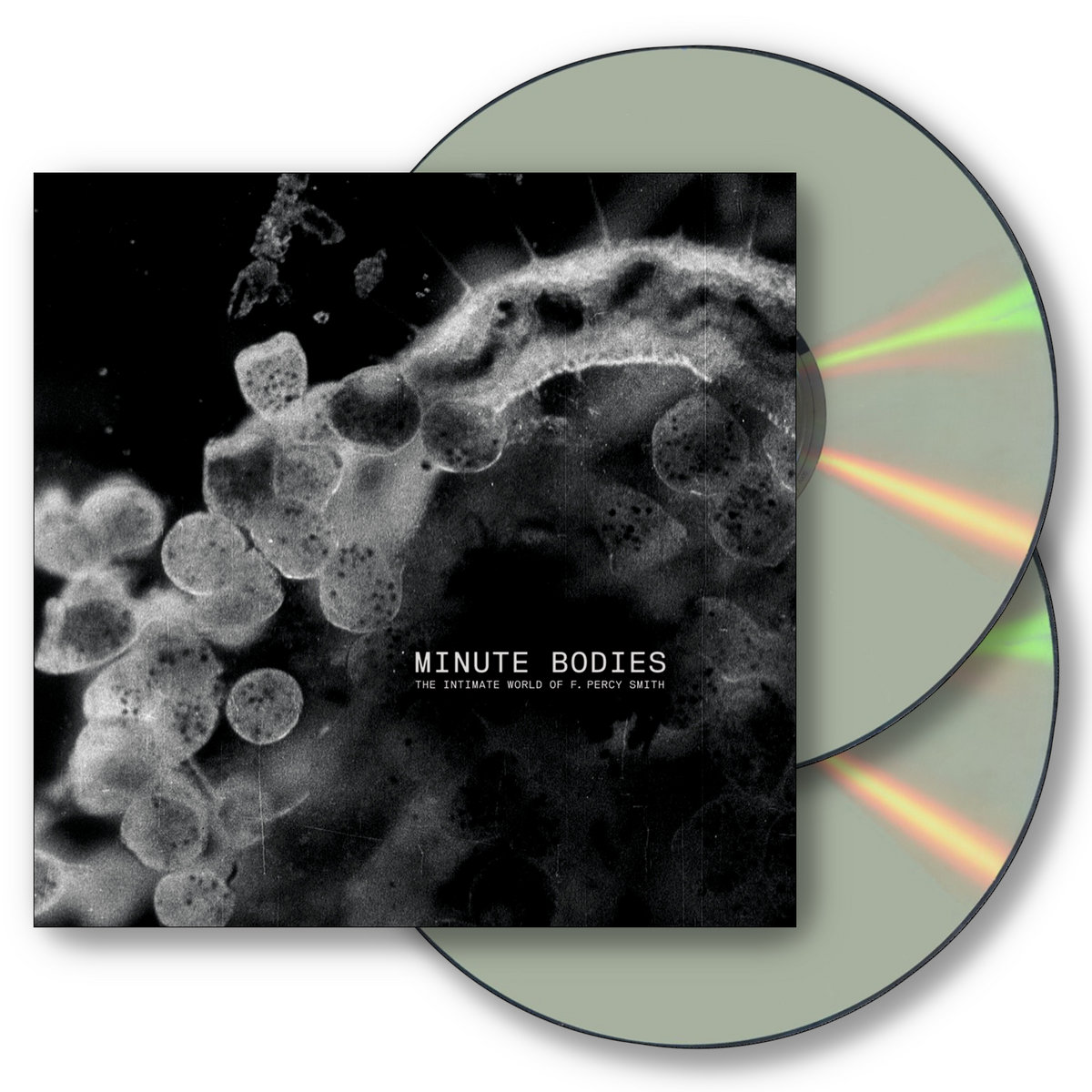 Minute Bodies: The Intimate World Of F. Percy Smith | tindersticks