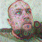 A Young Person's Guide To | King Parrot