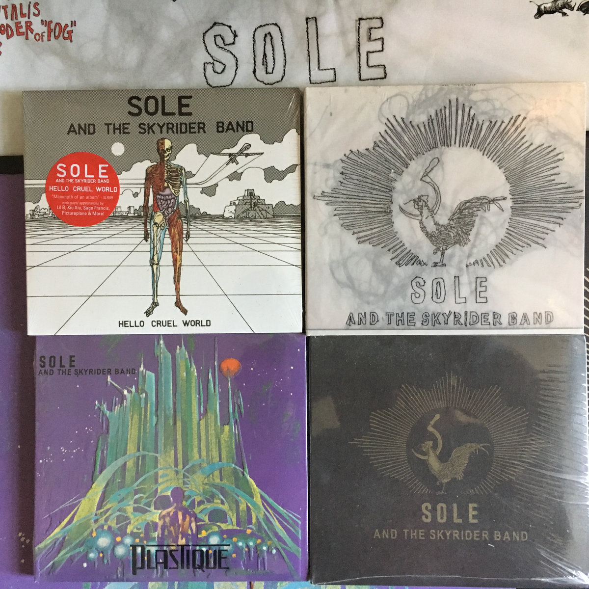 Sole & The Skyrider Band Boxed Set 4 cds $20 | sole