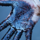 melanchole | salvia palth