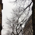 Harbor LP | tomppabeats