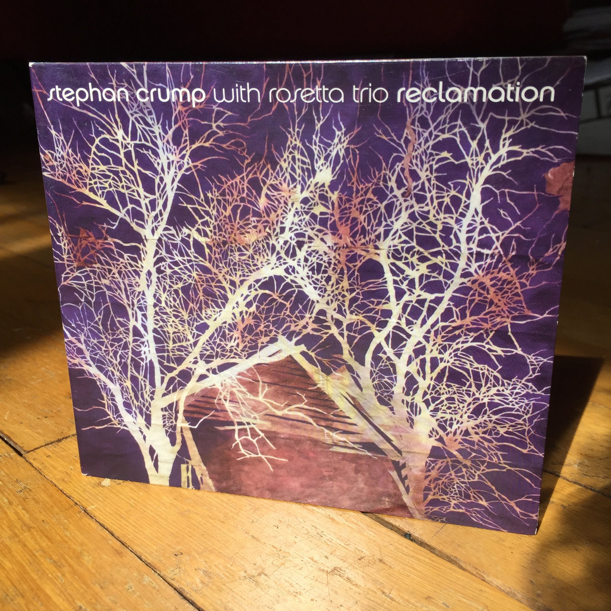 Reclamation | Stephan Crump with Rosetta Trio | Stephan Crump