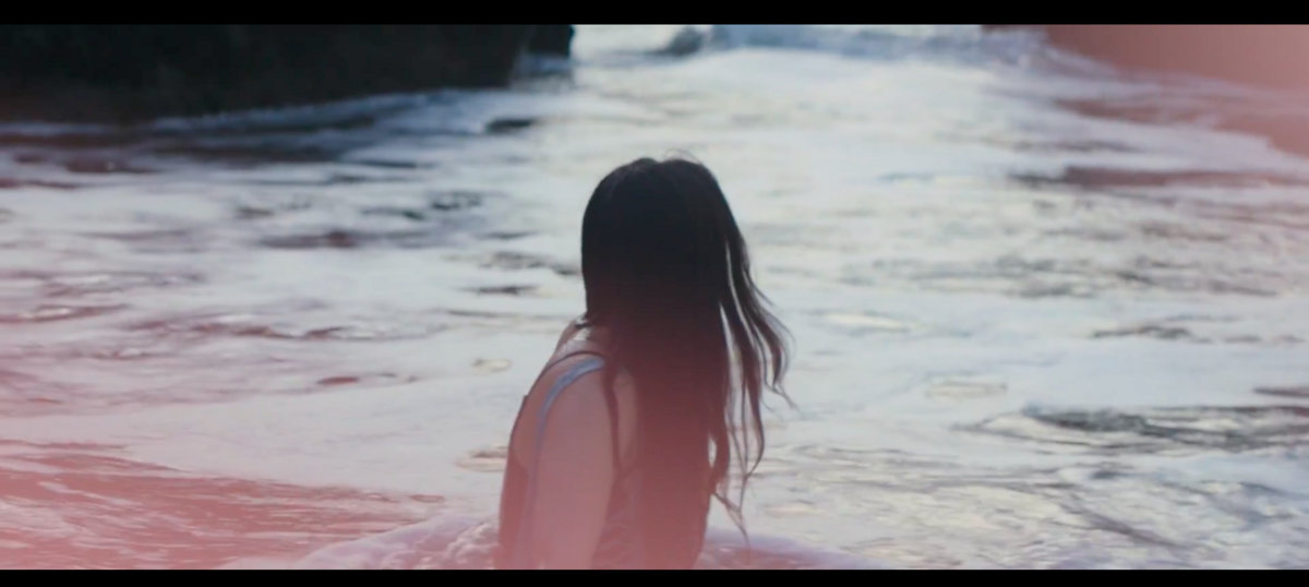 Moonrise | All The Wolves