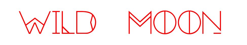 Live in Warwick, NY - 3/25/2017 | Wild Moon