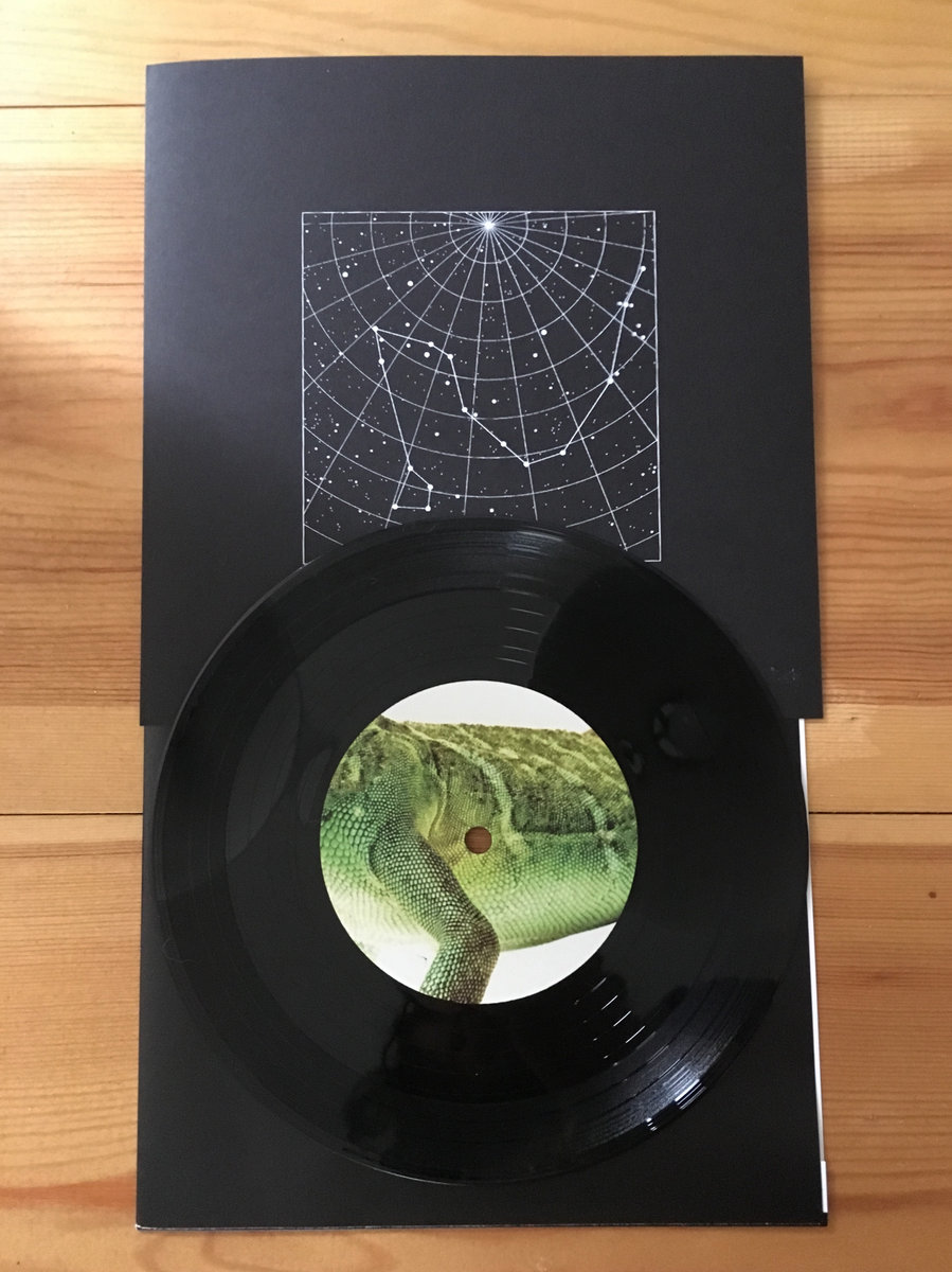 Mister Lizard 7" | Mister Lizard | Hominid Sounds
