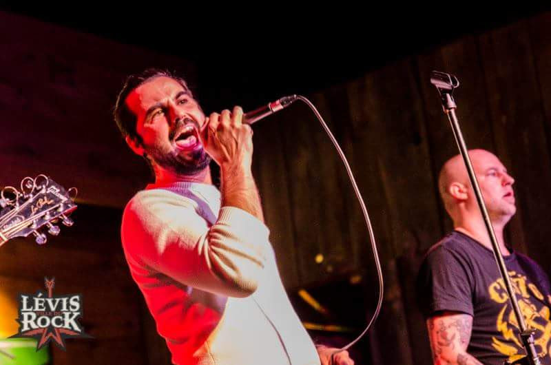 Black Pigs | The Black Pigs