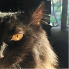 Time Machine タ イ ム マ シ ン | slowerpace 音楽 | Celadon Plaza Records