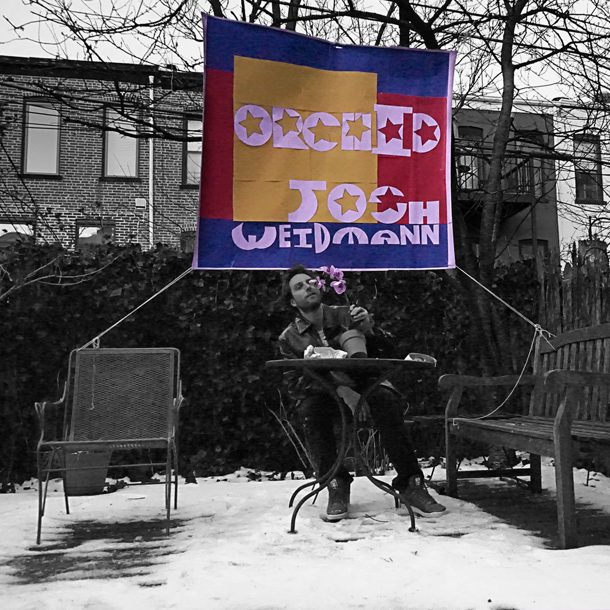 Orchid | Josh Weidmann