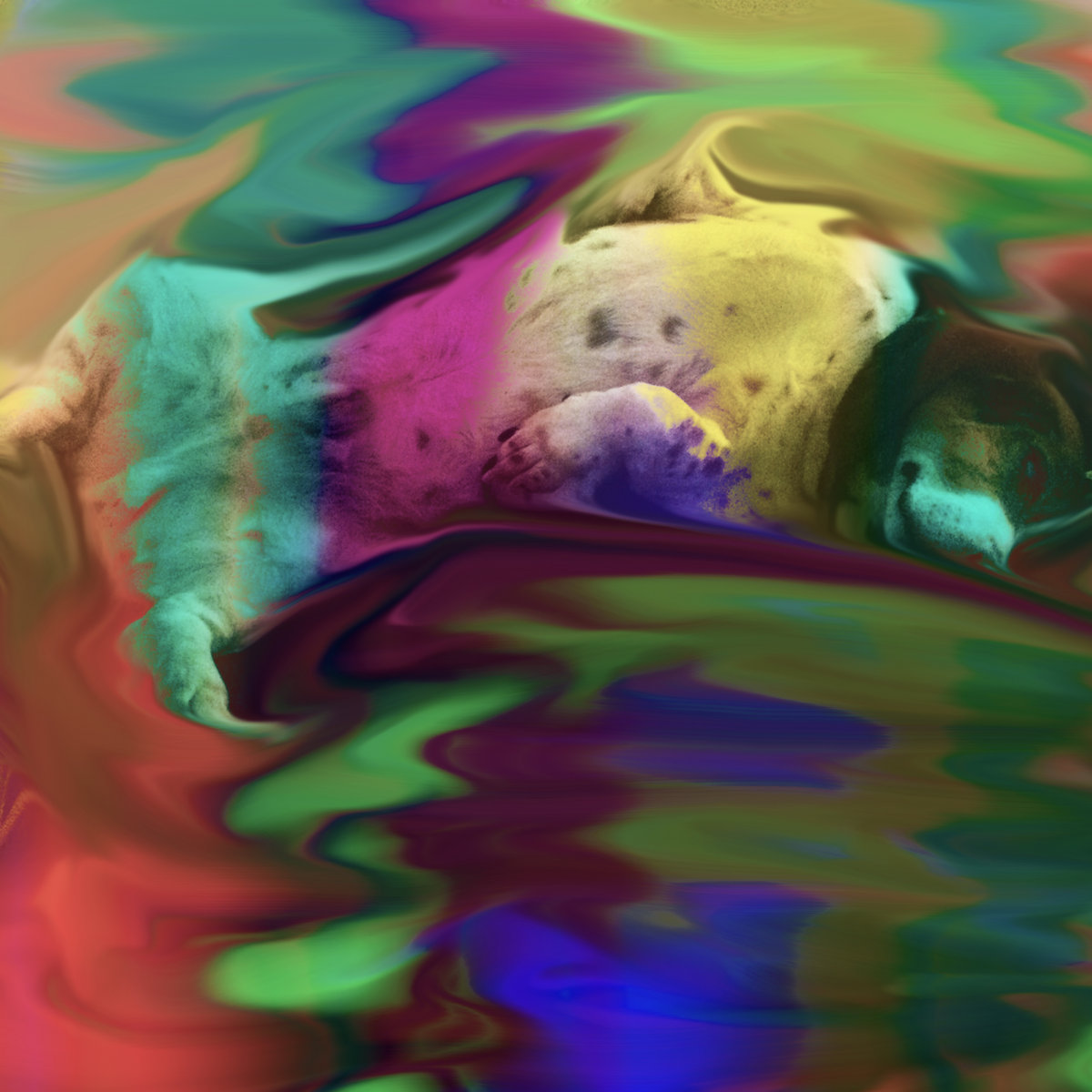 Medium Sized Planet | Seth Burkhardt