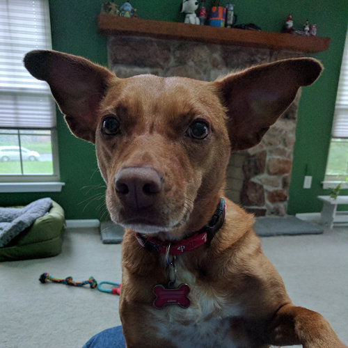 Life as a Guilty Man | Grey Matter