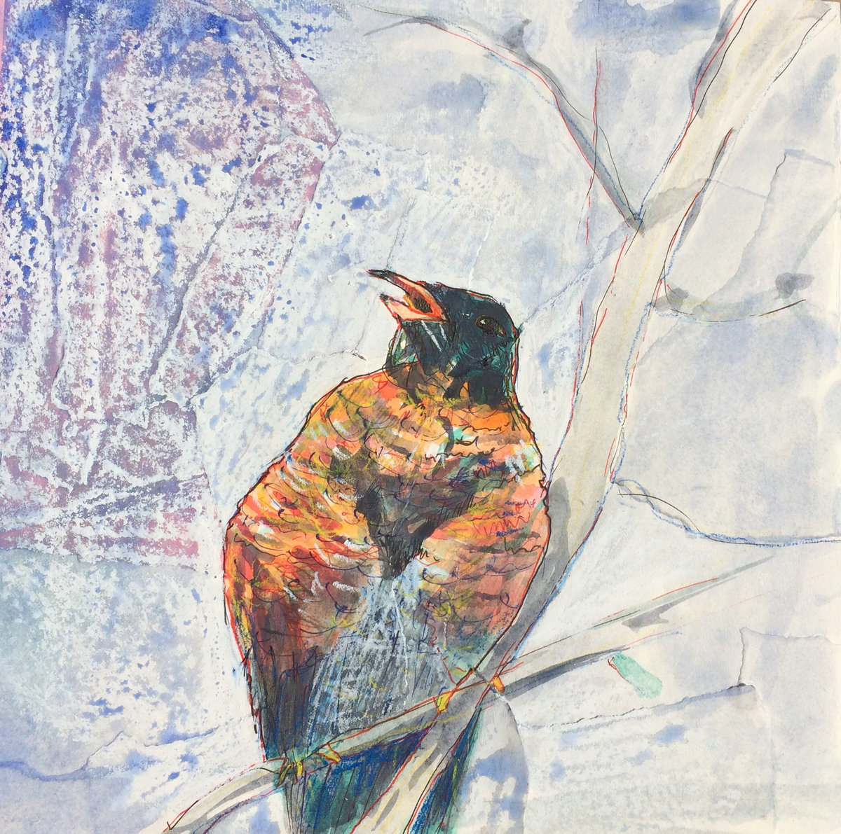 Robin | Shane de Leon