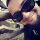 Chronopoly | Town Portal