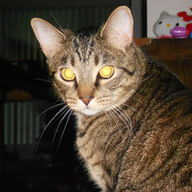 geoffraye's collection | Bandcamp