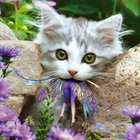 Terminal Redux | Vektor