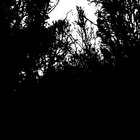 BREAKTHROUGH | KONSTANTIN RAUDIVE | Buried Treasure