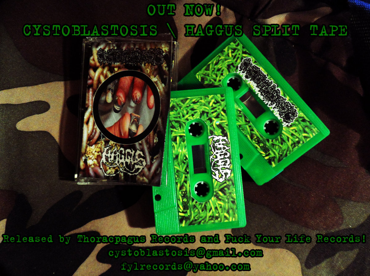 split w Haggus | Cystoblastosis