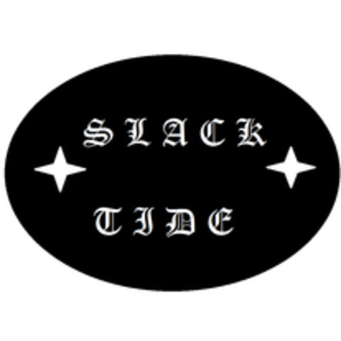 Slack Tide's Slick Toad, Vol. 1 | Various Artists | Slack Tide Records