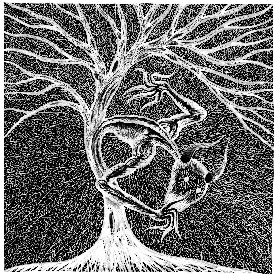 Cymophane | Cymophane