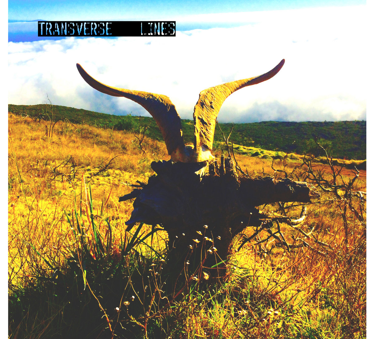 Schumann Resonance | Transverse Lines