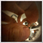 Flower Meg ささやき・ためいき・もだえ | Flower Meg 木村和代 | Cinedelic