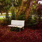 Oh, Common Life | Fireworks | Triple Crown Records