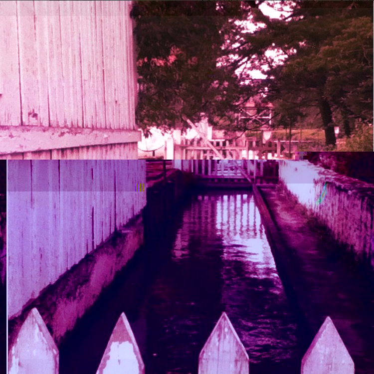 No Mauve EP | No Mauve