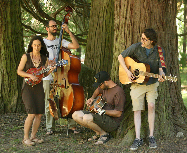 Holler and the Hive | Holler and the Hive