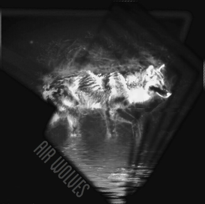 Air Wolves | Air Wolves