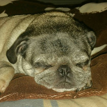 jayreffner's collection | Bandcamp