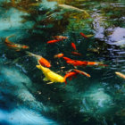 A Human's Touch (feat. McKenna Rae) | TWRP