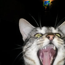 lauramaas' collection | Bandcamp