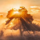 Eternal Return | Windhand