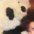 Amy Locust Whatever | CBMC