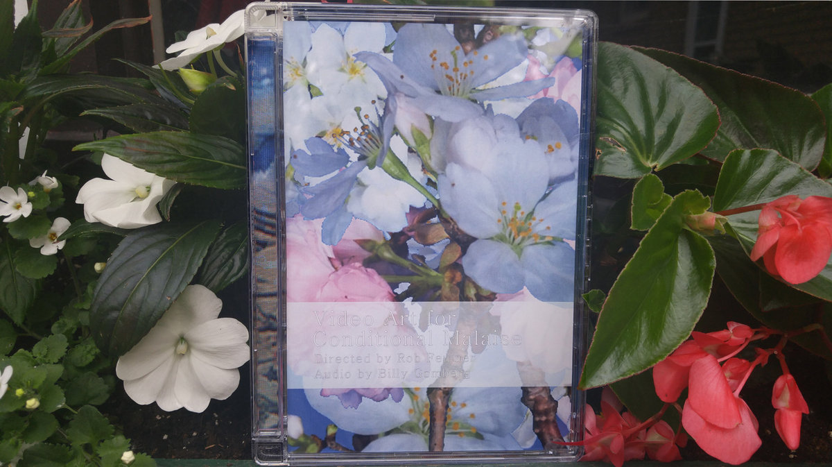 Video Art for Conditional Malaise OST | Billy Gomberg & Rob Feulner ...