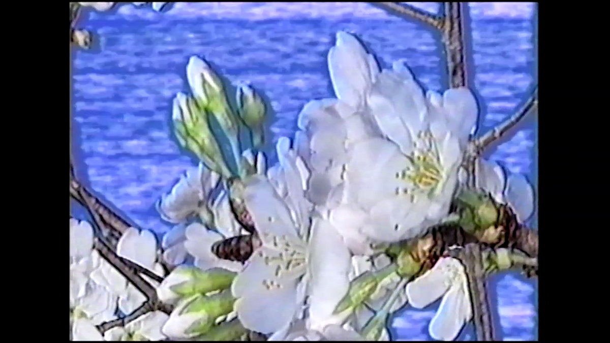 Video Art for Conditional Malaise OST | Billy Gomberg & Rob Feulner ...